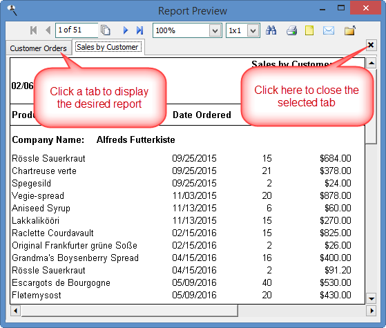 Previewing a Report - Stonefield Query
